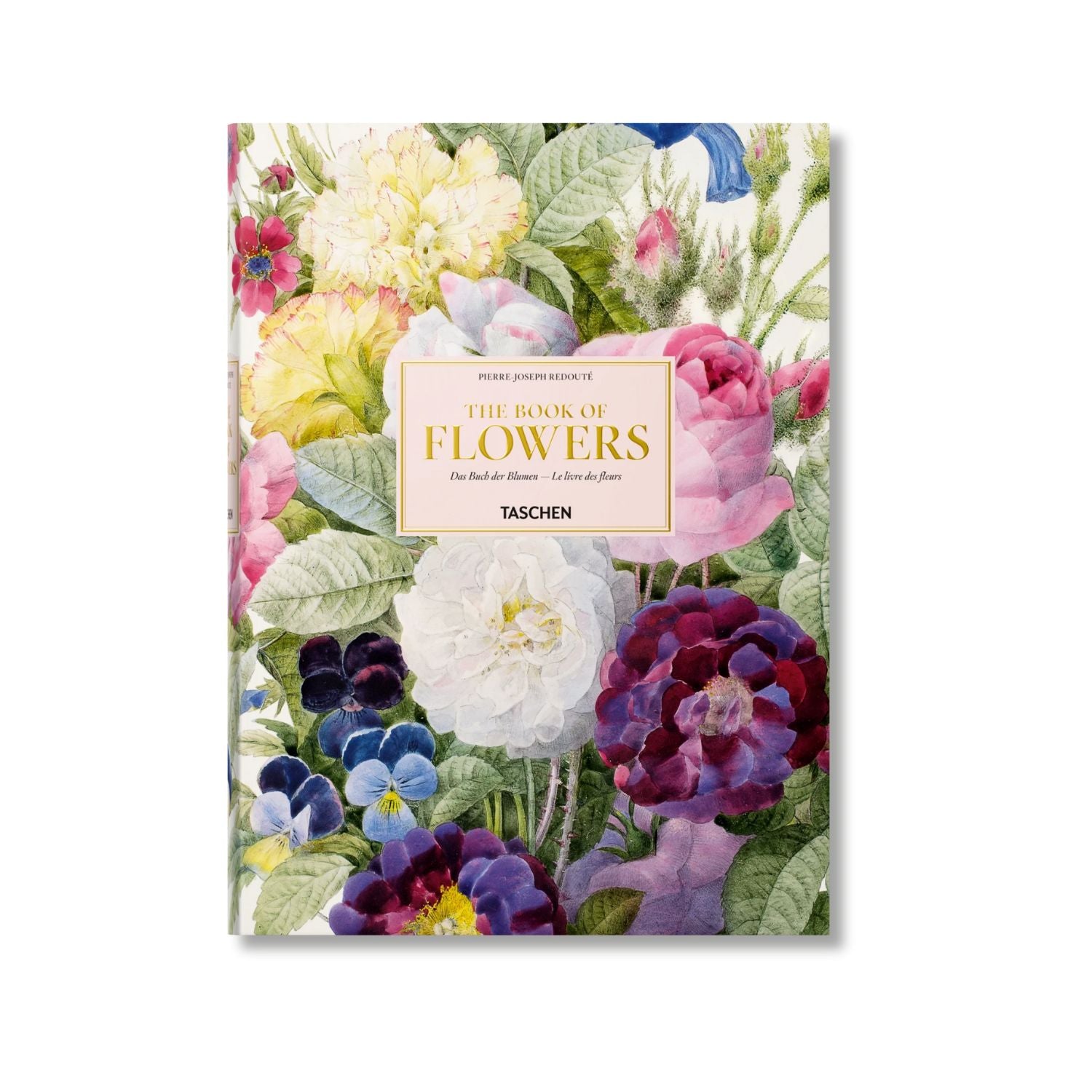 The book of flowers - El libro de las flores – Bosquechileno