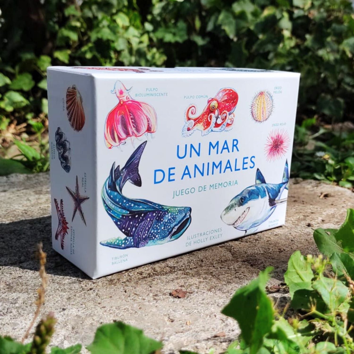 Juego de memoria - Un mar de animales – Bosquechileno