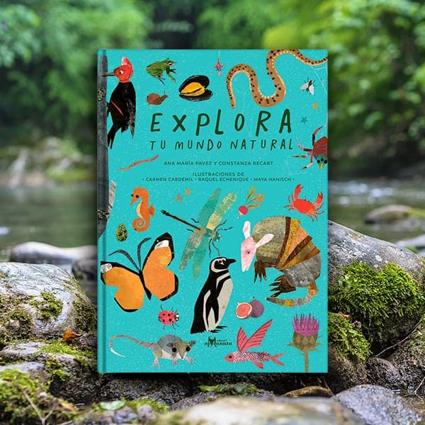 Explora Tu Mundo Natural – Bosquechileno