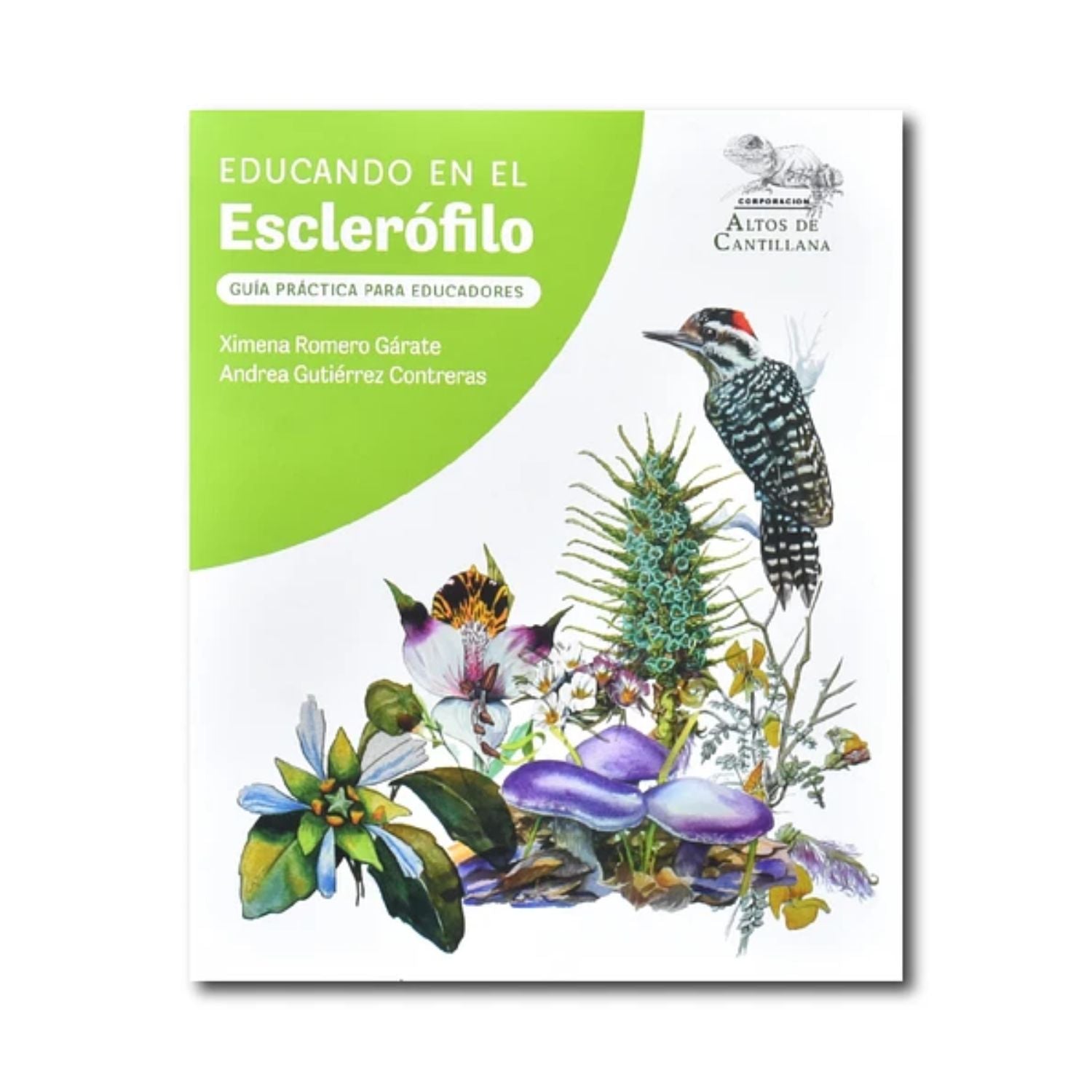 Educando en el esclerófilo (4 tomos) – Bosquechileno