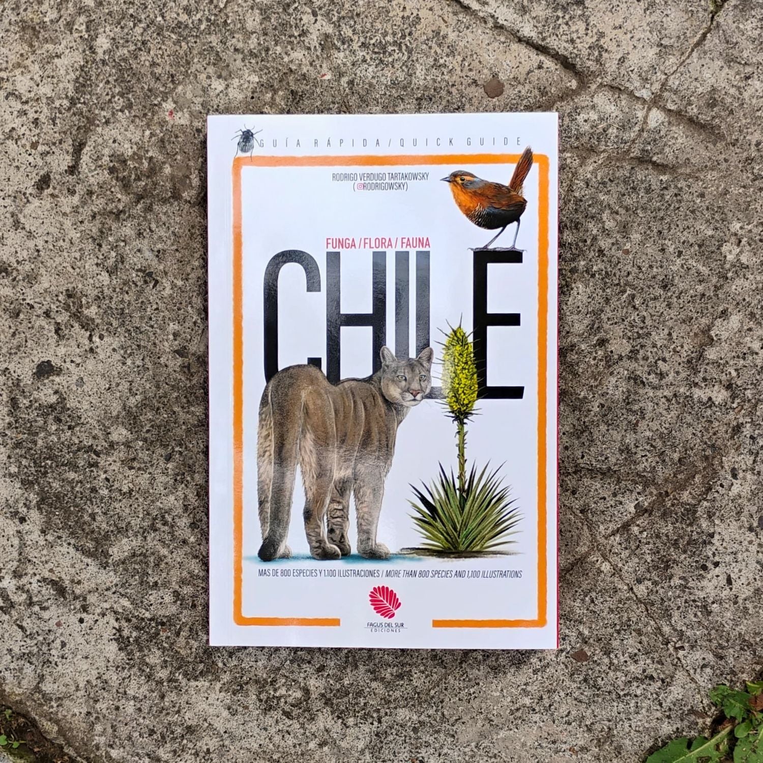 Guía de Chile: Funga, Flora y Fauna (Español-Inglés) – Bosquechileno