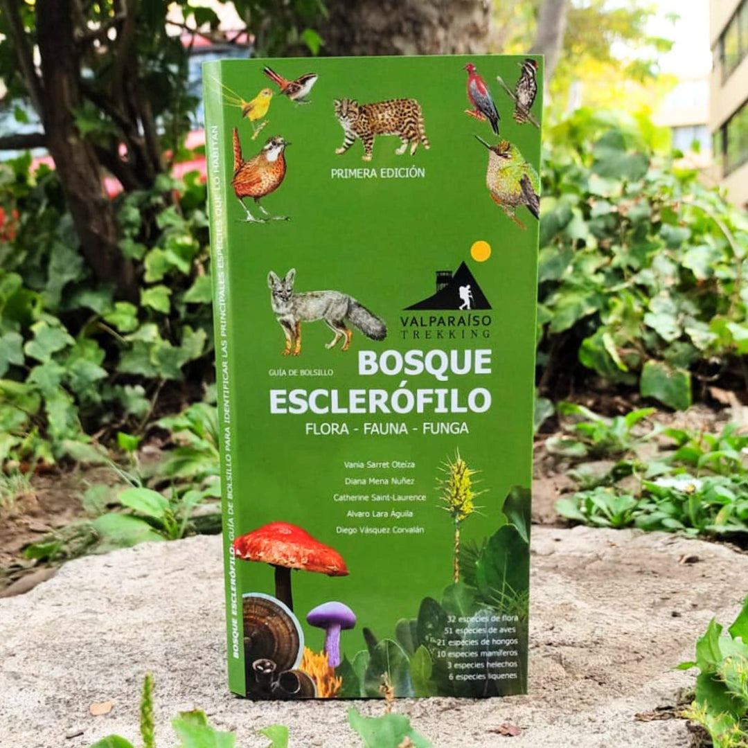 Guía de bolsillo - Bosque Esclerófilo – Bosquechileno