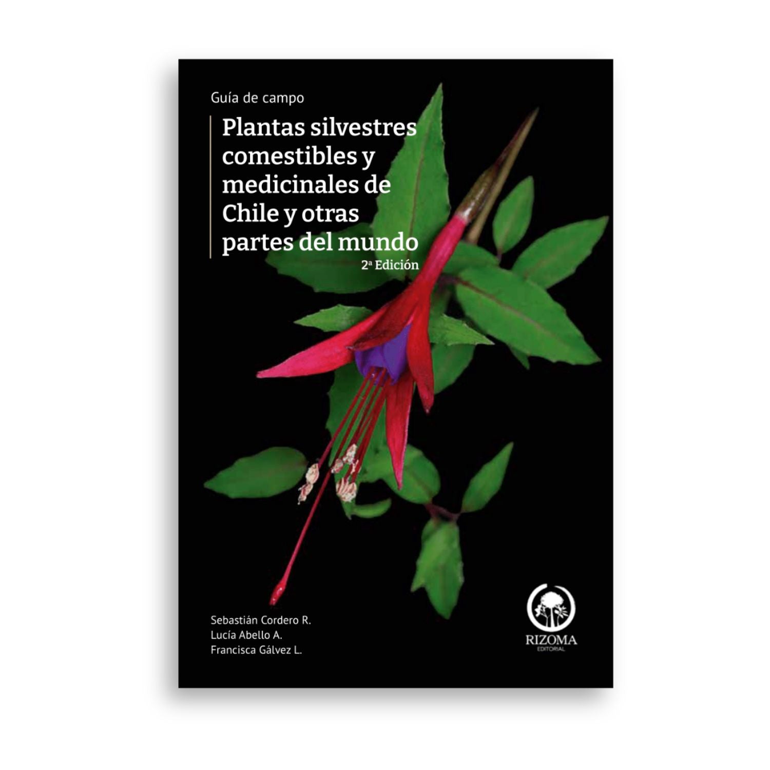 Plantas silvestres comestibles y medicinales de Chile y otras partes d ...