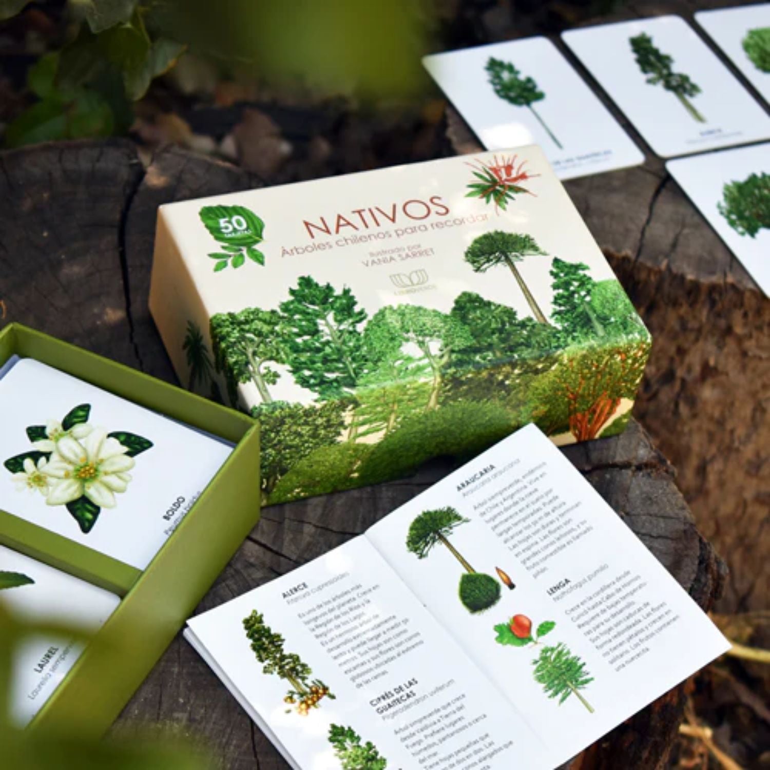Nativos - Árboles chilenos para recordar – Bosquechileno