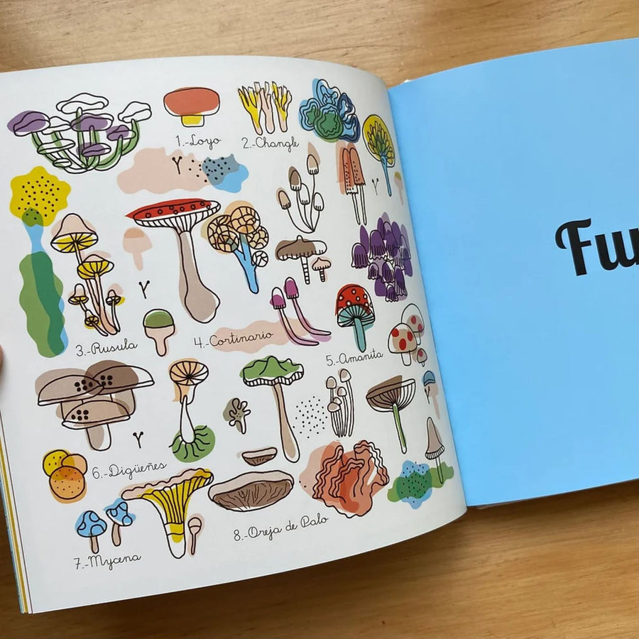 Fauna, fungi y flora. Breve muestrario natural de Chile – Bosquechileno