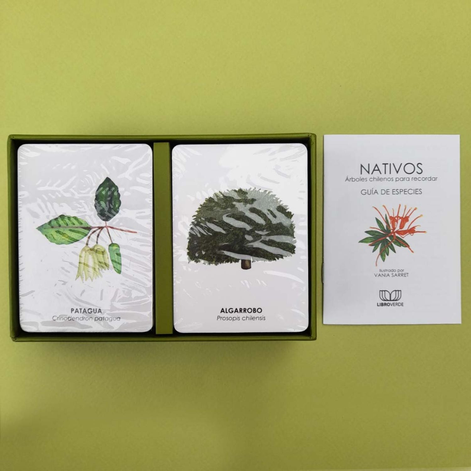 Nativos - Árboles chilenos para recordar – Bosquechileno