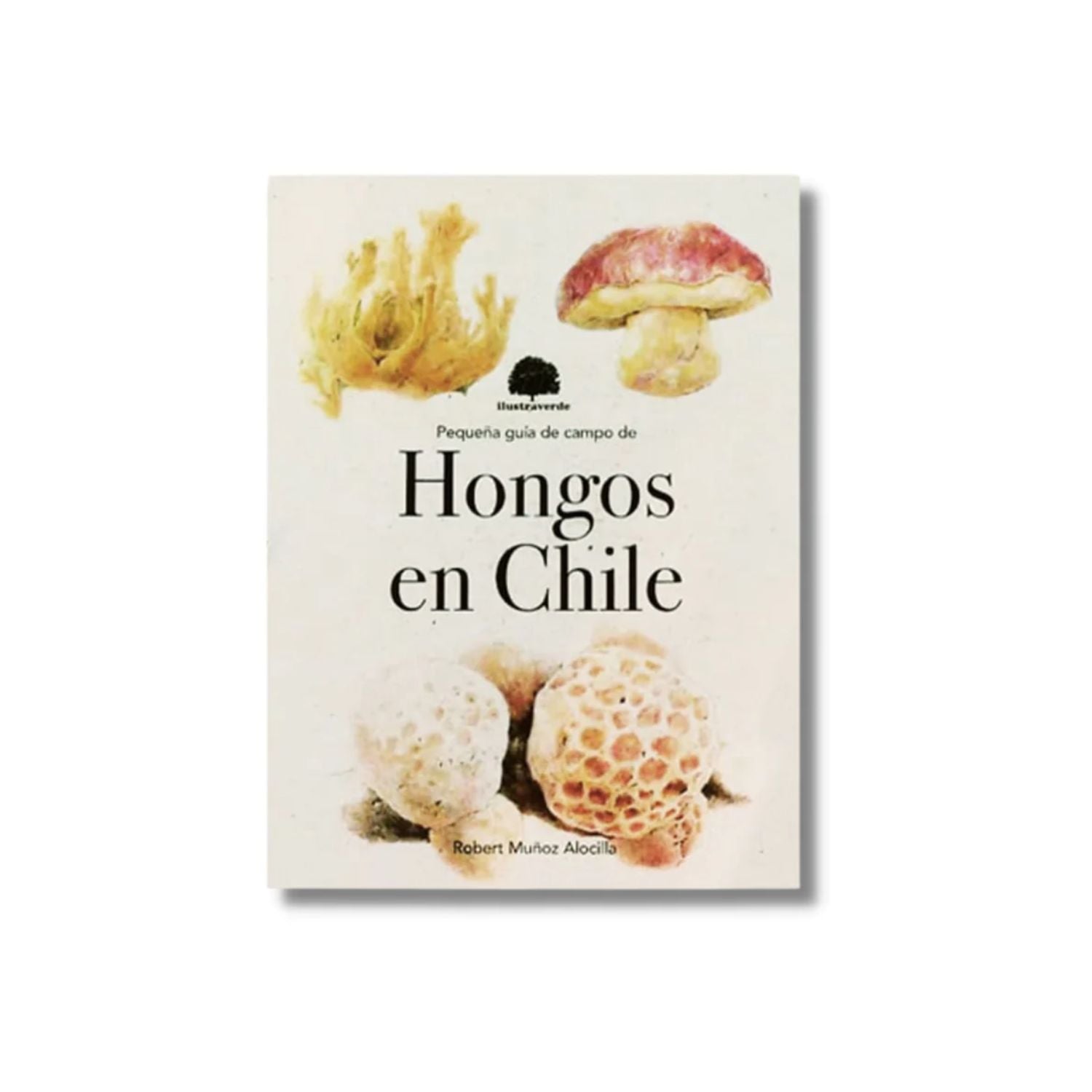 Hongos en Chile - Pequeña guía de campo – Bosquechileno