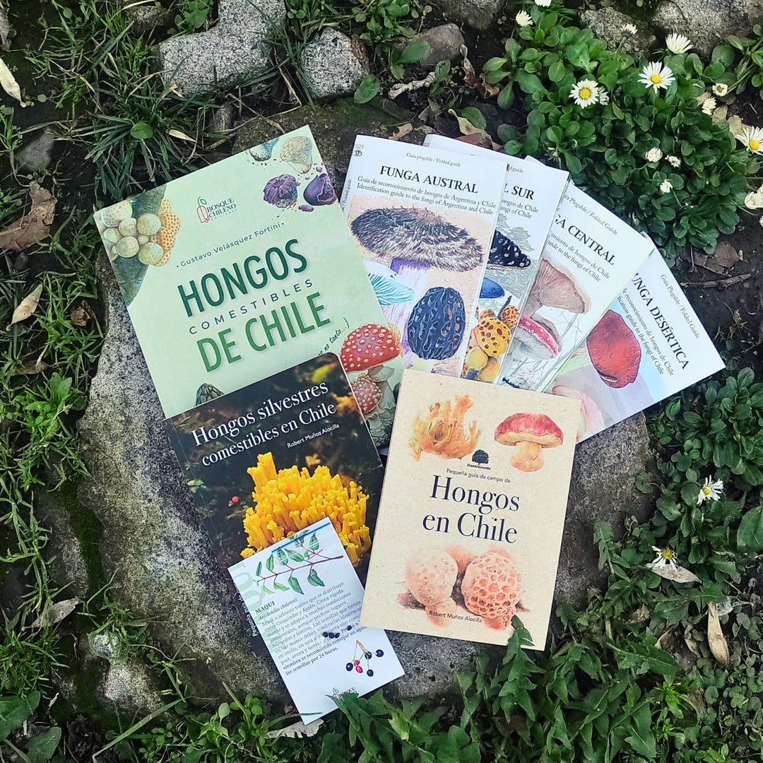 Pack Hongos Chilenos – Bosquechileno