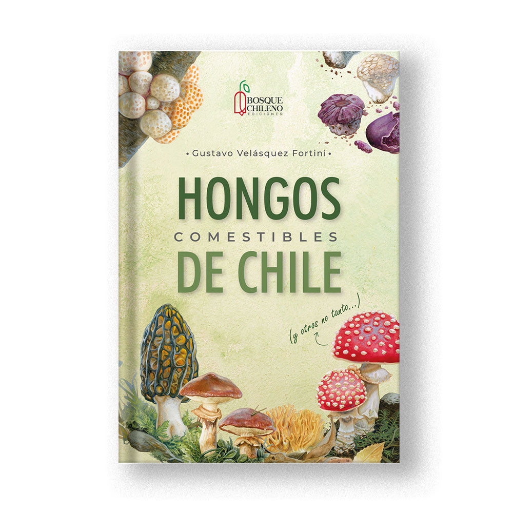 Hongos comestibles de Chile (y otros no tanto) – Bosquechileno
