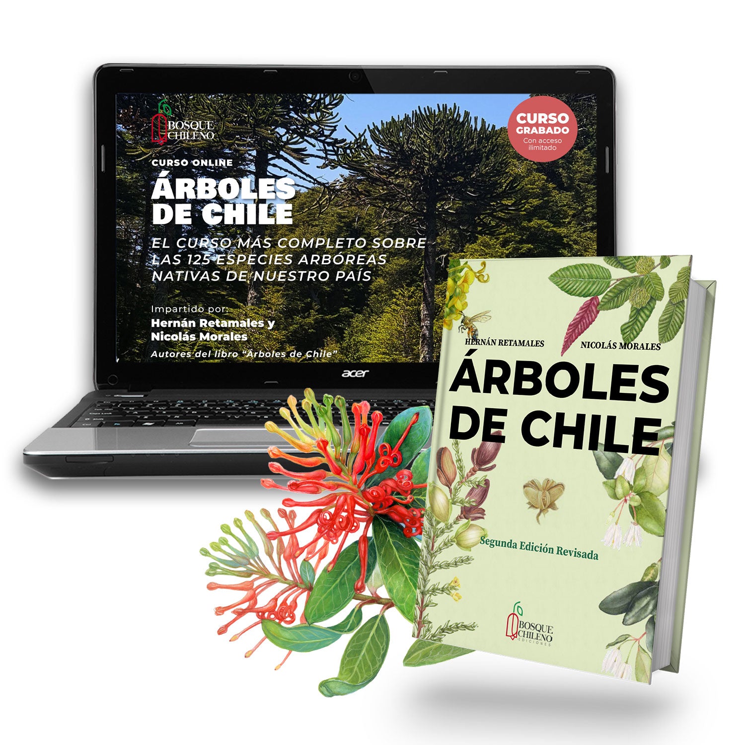 Pack Libro tapa dura + Curso Árboles de Chile – Bosquechileno