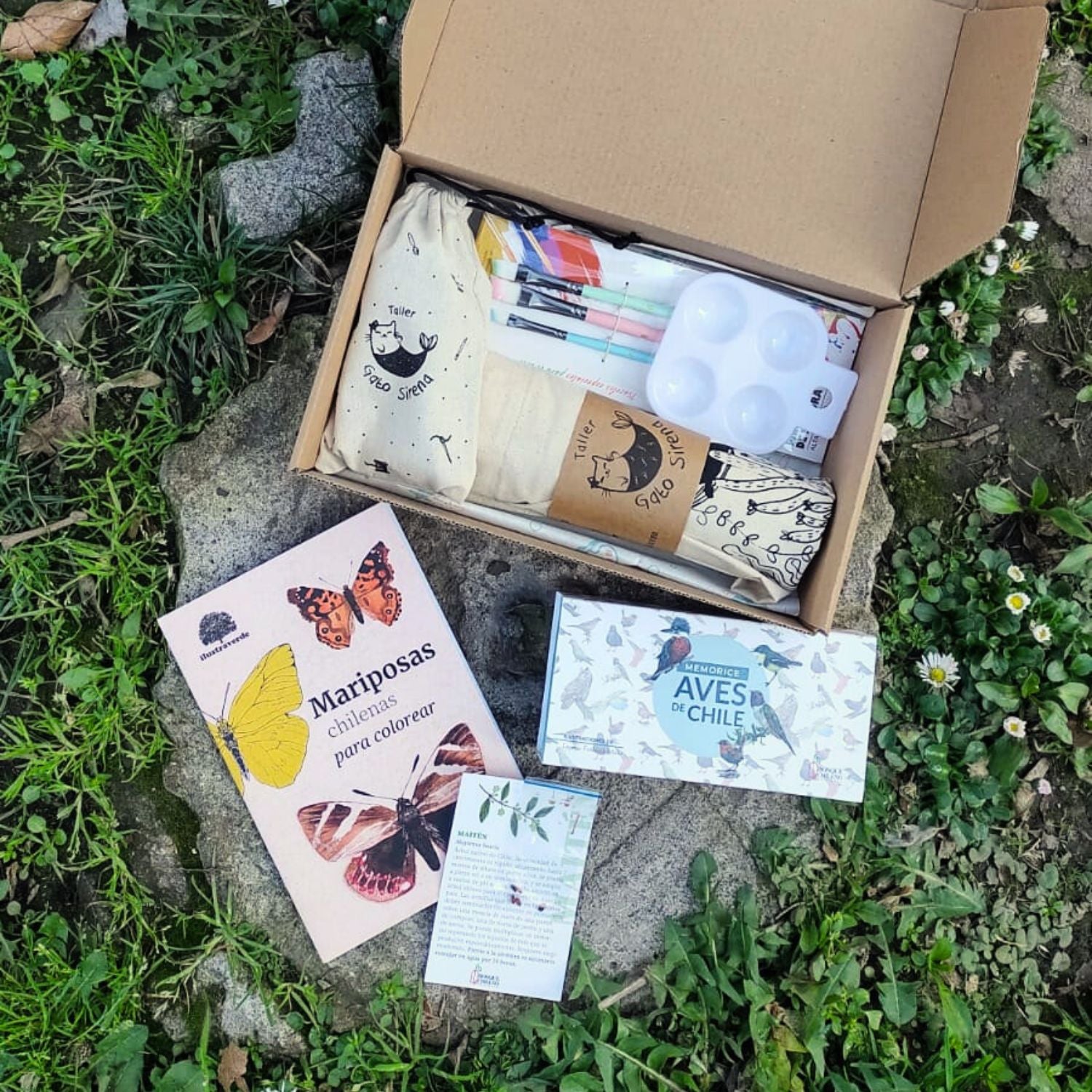 Pack arte nativo – Bosquechileno