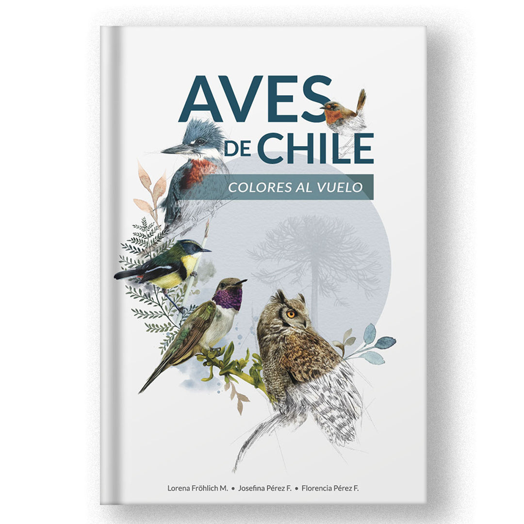 Aves de Chile: Colores al vuelo (tapa dura) – Bosquechileno