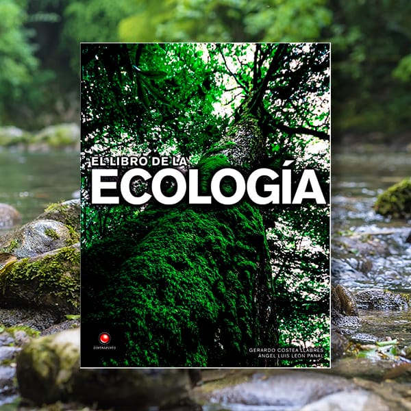 El Libro de la Ecología – Bosquechileno