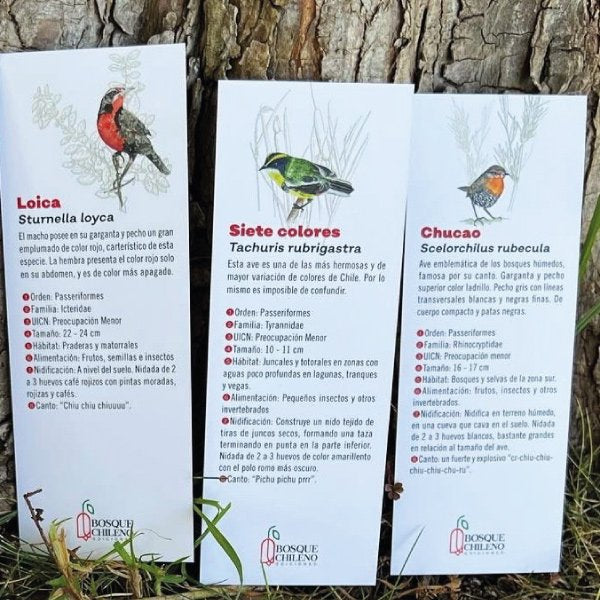 Fichas Aves de Chile - Pack de 11 unidades – Bosquechileno