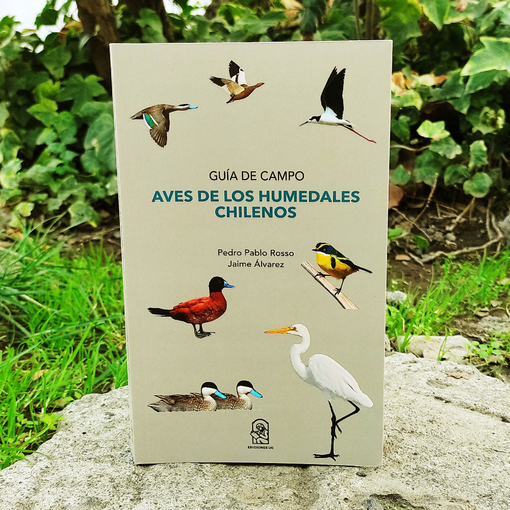 Guía de Campo - Aves de los Humedales Chilenos – Bosquechileno