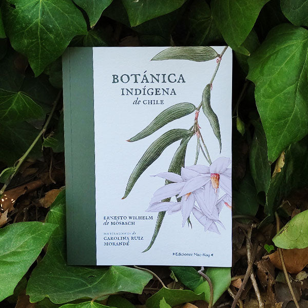 Botánica Indígena de Chile – Bosquechileno