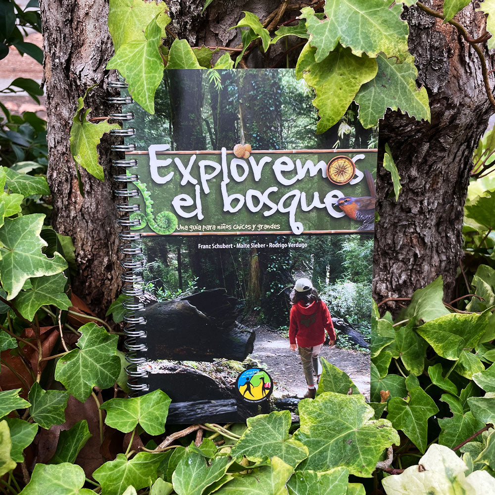 Exploremos el bosque – Bosquechileno