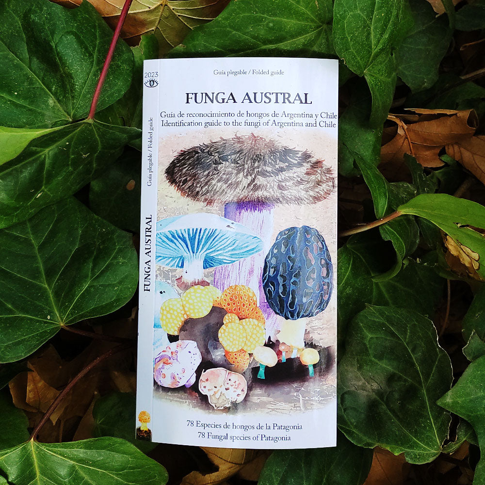 Funga Austral - Guia de reconocimiento de hongos de chile – Bosquechileno