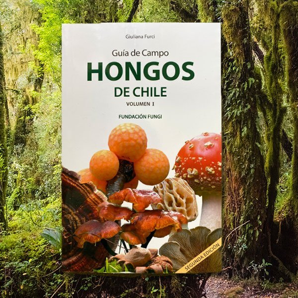 Guía de Campo Hongos de Chile - Volumen 1 - Segunda edición – Bosquechileno