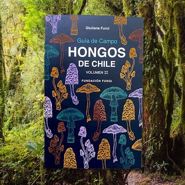 Guía de Campo Hongos de Chile - Volumen 2 – Bosquechileno