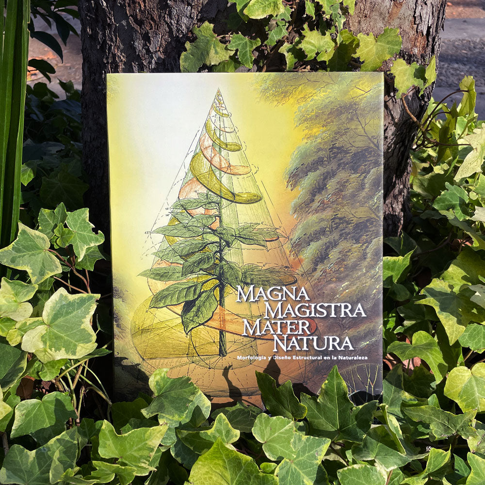 Magna Magistra Mater Natura – Bosquechileno